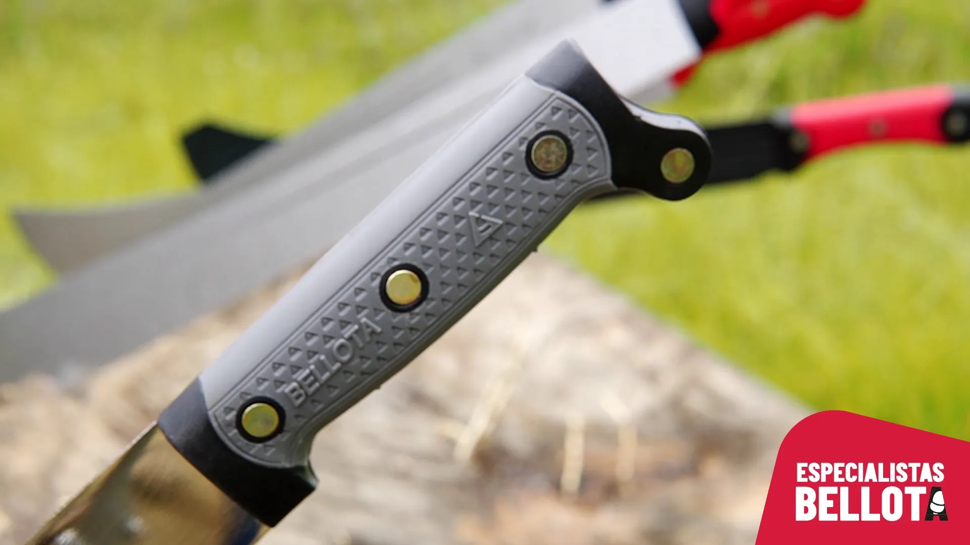 Cortar con machete: explora los usos y beneficios agrícolas